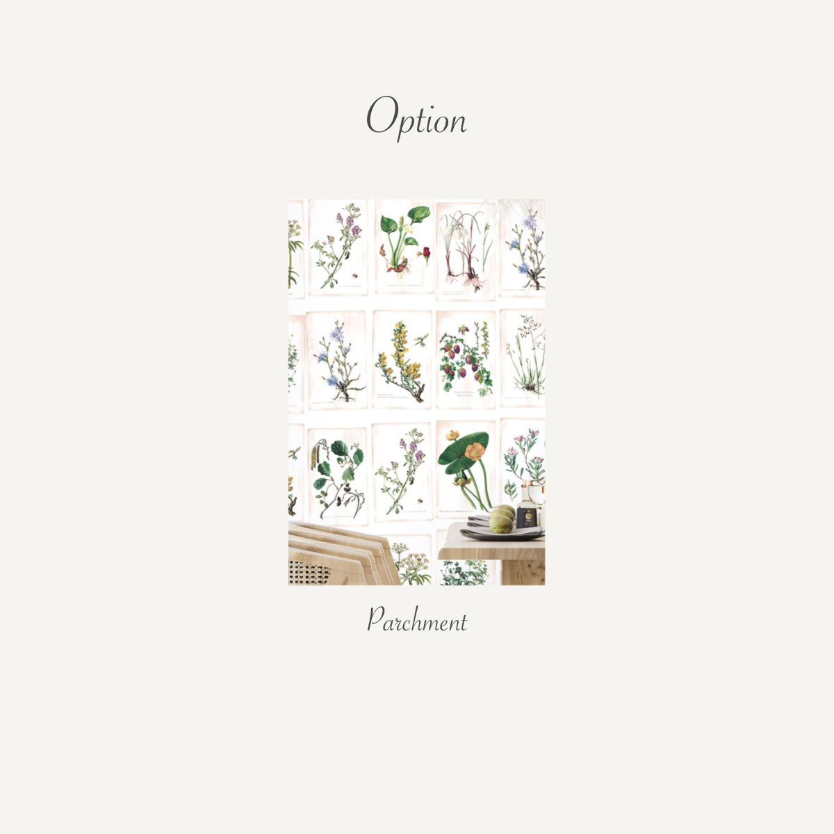 PaperMint | Fleurs Sauvages